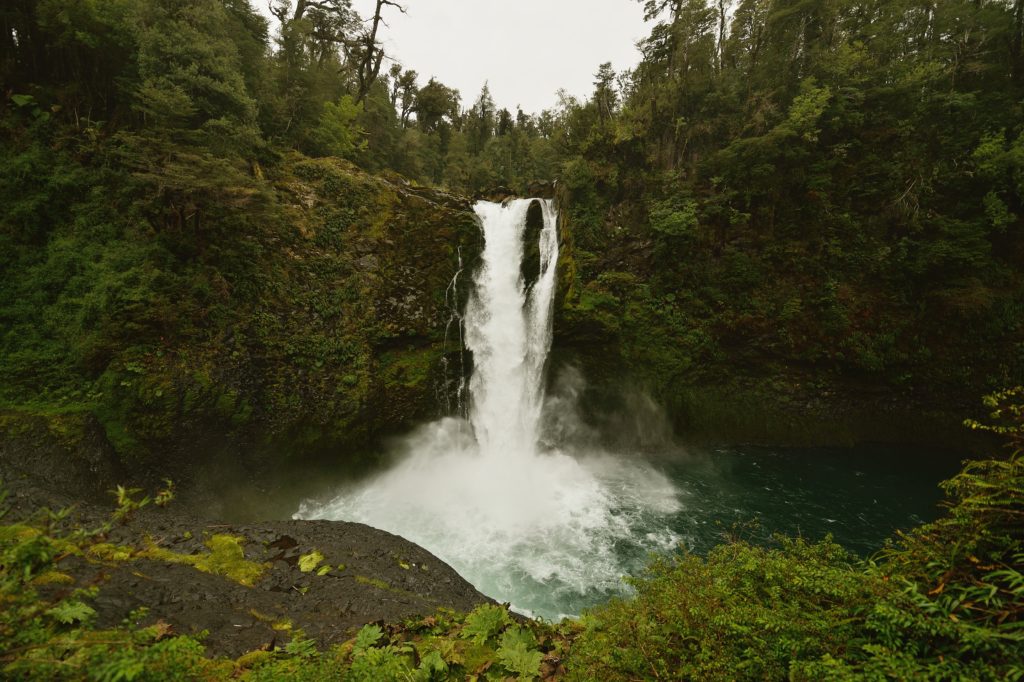 Activity_Waterfall-Puma_004 - Huilo Huilo