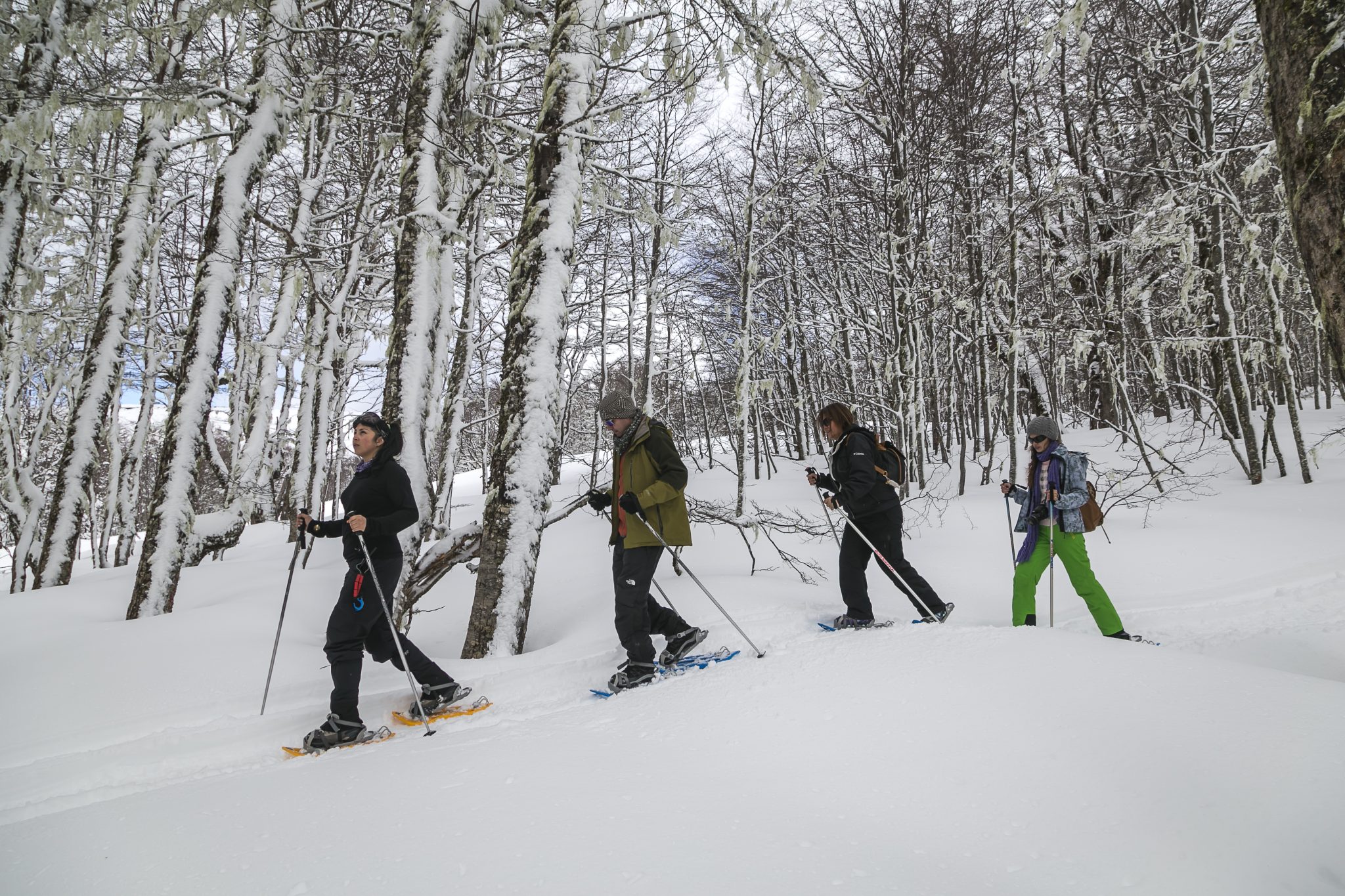 Conoce el Centro de Invierno Bosque Nevado en la Reserva Biológica ...