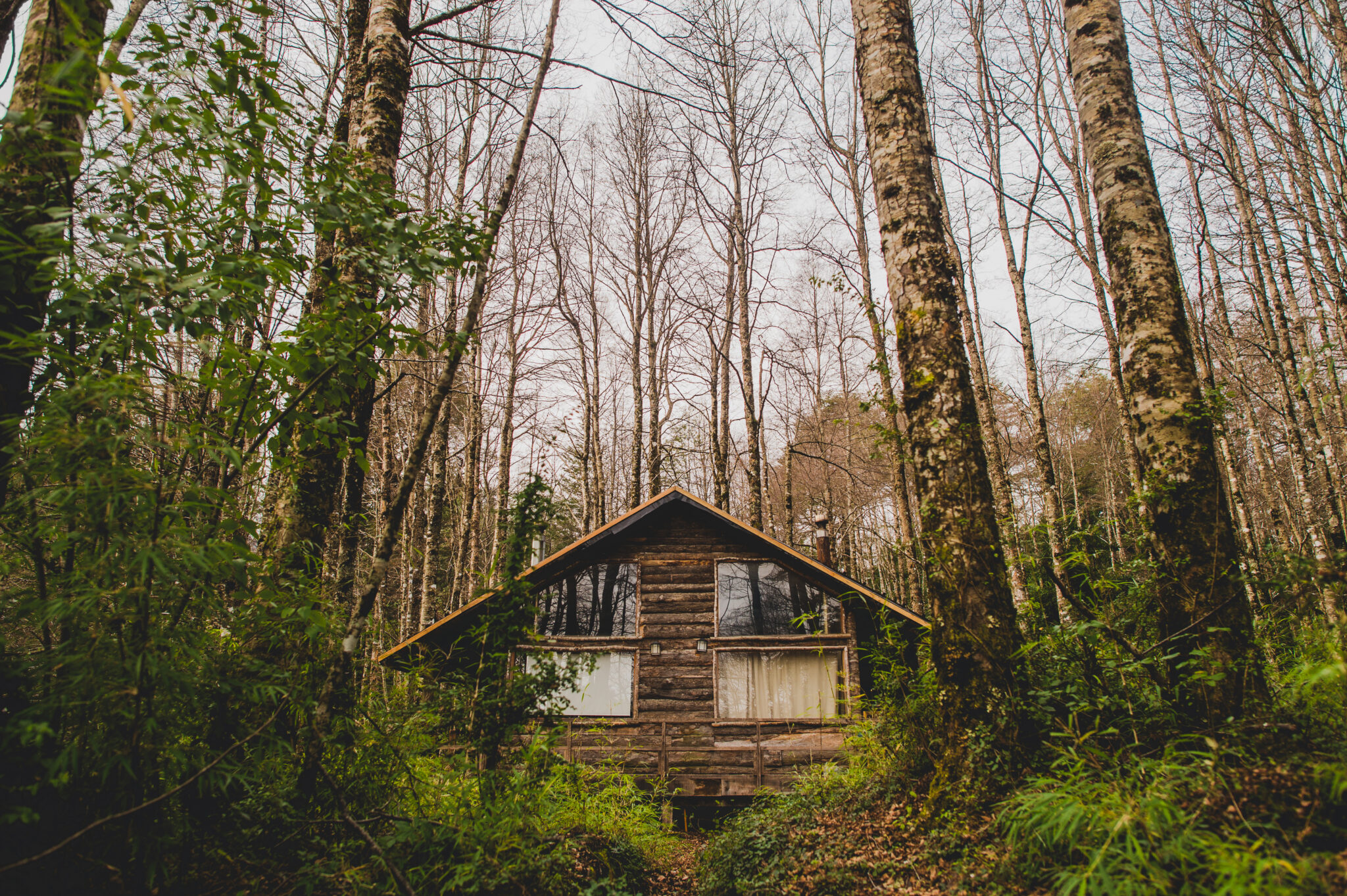 Descubre la Magia de las Cabañas del Bosque en Huilo Huilo - Huilo Huilo